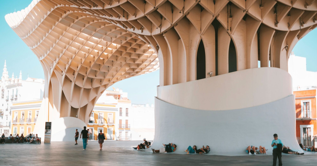 Is timber construction truly sustainable? | EcoCocon | EcoCocon